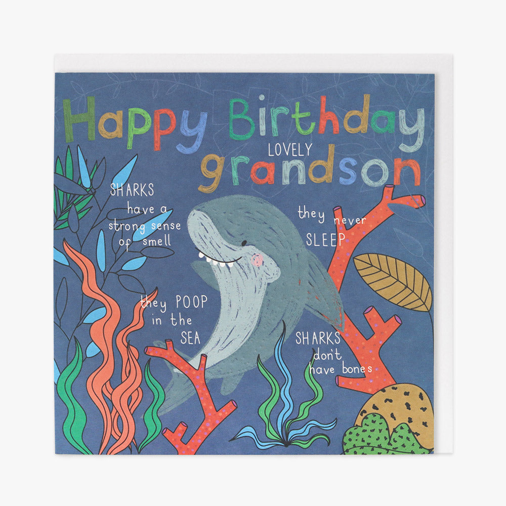 Grandson Birthday Card - Shark – Scarlet Ribbons